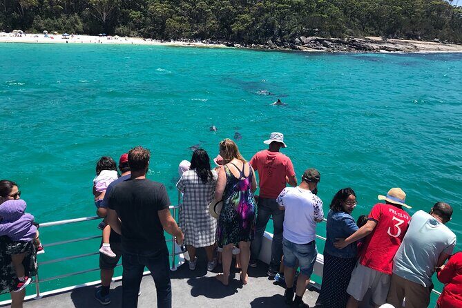 Jervis Bay Dolphin Cruise - Final Thoughts: Is It Worth It?