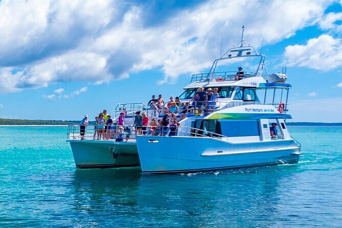 Jervis Bay Dolphin Cruise - Who Will Love This Tour?
