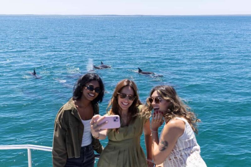 Jervis Bay Dolphin Cruise, Lunch, Berry&Kiama Blowhole Tour - Key Points