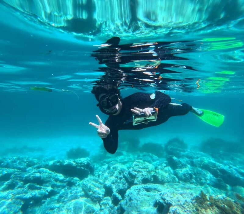 Jervis Bay: Guided Snorkelling Tour with expert guide - Practical Details: Booking, Cost, and What to Bring