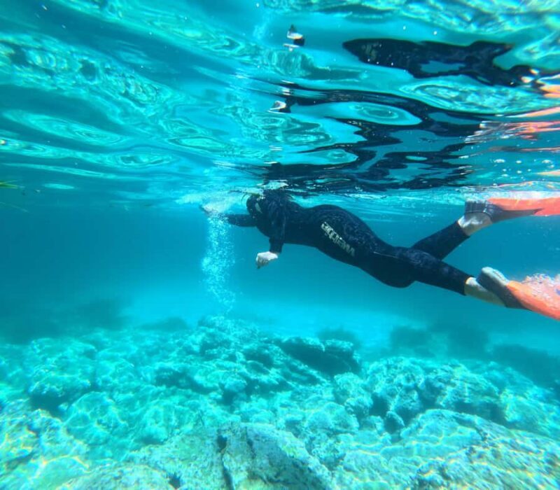 Jervis Bay: Guided Snorkelling Tour with expert guide - Final Words