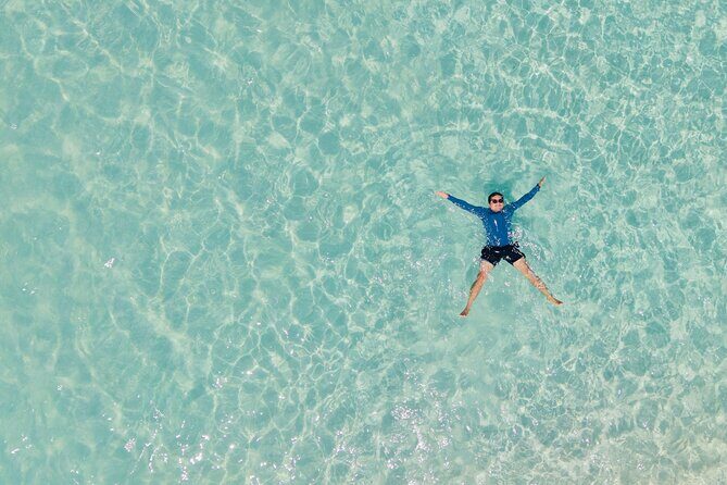 Jervis Bay Highlights Tour  Small Group Experience Scenic Coast - Practical Details & Tips