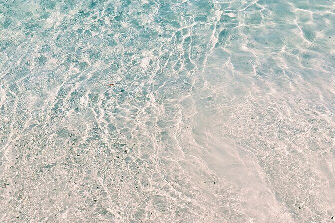 Jervis Bay, Kiama & Kangaroo Valley Day Trip From Sydney-PVT - What’s Included and What’s Not