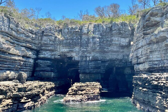 Jervis Bay Passage Tour - Pricing & Value Analysis