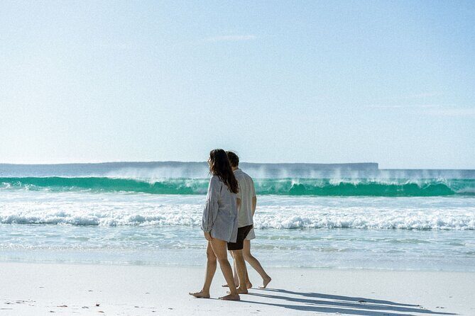 Jervis Bay Private Tour - An Honest Look at the Jervis Bay Private Tour