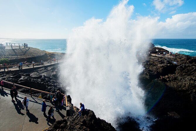 Jervis Bay Private Tour & Pick up & Drop off - Final Thoughts