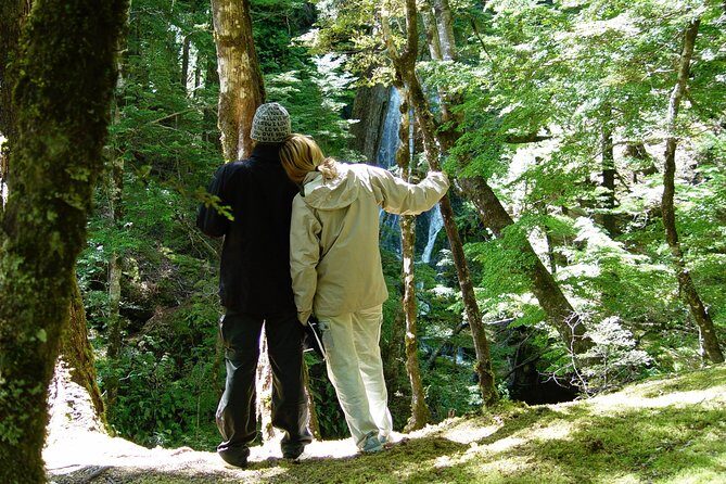 Jet Boat and Wilderness Walk Tour from Wanaka - The Sum Up: Is It Worth It?