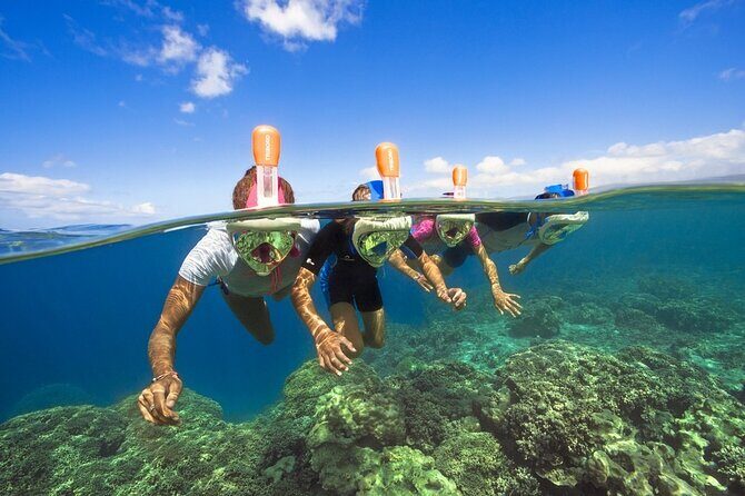 Jet Boat Excursion in South West Coast of Mallorca - Why This Tour Is a Great Choice