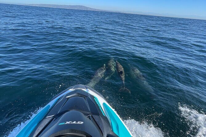 Jetski Adventure: Guided Trip from Long Beach to Catalina Island - Authentic Experiences and the Review Insights  