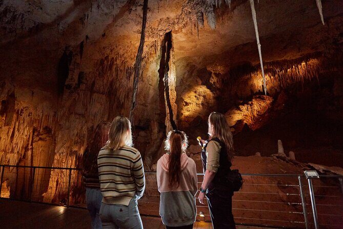 Jewel Cave Fully-guided Tour (Located in Western Australia) - Why This Tour Works
