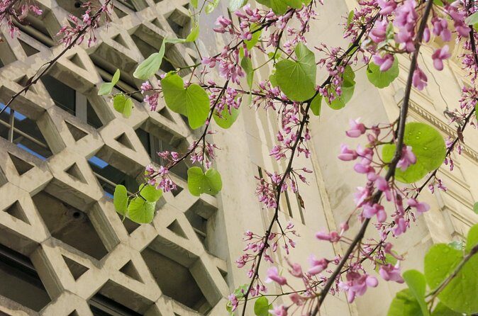 Jewish History Tour of Le Marais - The Sum Up