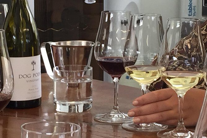 Jimmys Classic Marlborough Wine tours - Who Is This Tour Best Suited For?