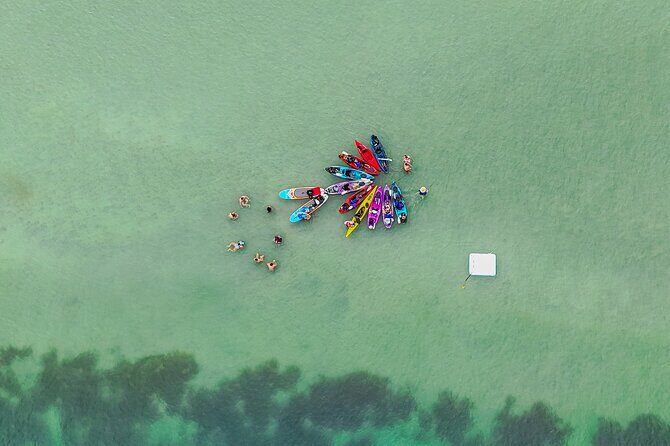 John's Pass Sandbar Party Kayak Adventure - Practical Tips for Making the Most of Your Day