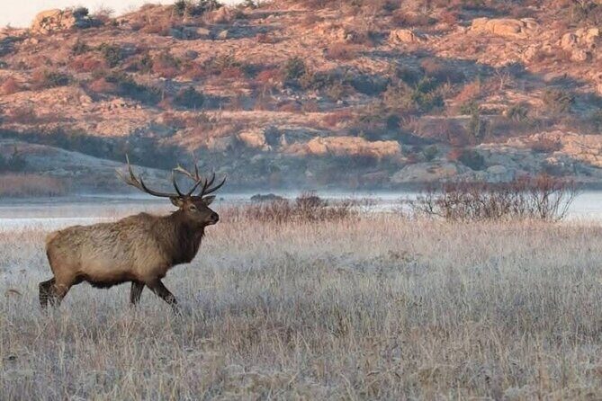 Johnson Canyon Lake Louise Emerald Lake Banff Gondola Hoodos - The Sum Up: Who Will Love This Tour?