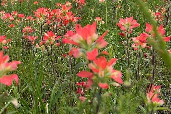 Johnson Canyon Lake Louise Emerald Lake Banff Gondola Hoodos - Frequently Asked Questions