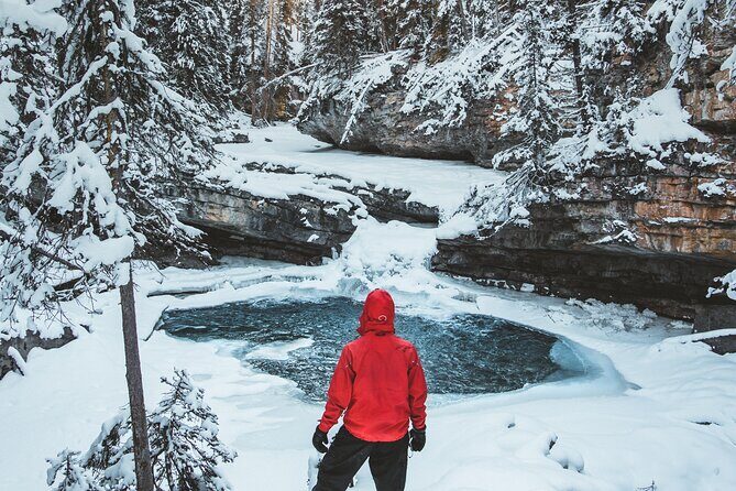 Johnston Canyon Frozen Waterfalls & Banff Backroads Wildlife Tour - Exploring the Tour in Detail