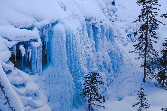 Johnston Canyon Frozen Waterfalls & Banff Backroads Wildlife Tour - Final Thoughts