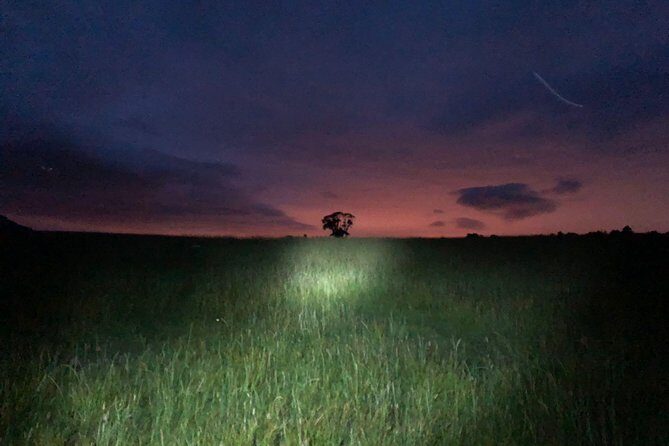 Join the Dark Side of Magical Nature - The Breakdown: What Makes This Tour Special
