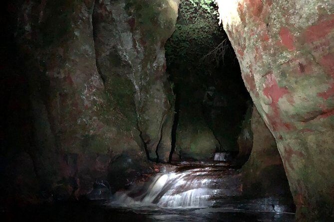 Join the Dark Side of Magical Nature - Who Will Love This Tour?