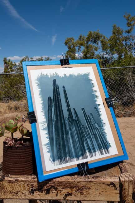 Joshua Tree: Cyanotype Sunprint Workshop - A Complete Guide to the Joshua Tree Cyanotype Sunprint Workshop