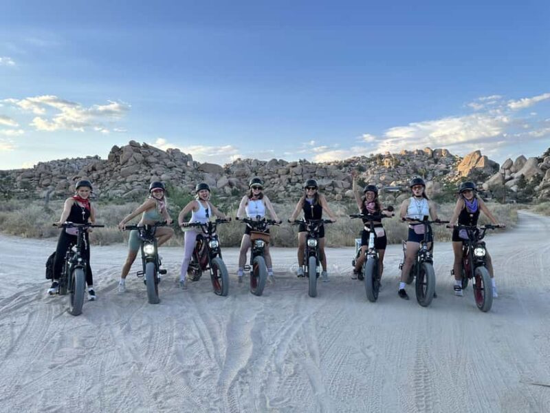 Joshua Tree National Park: E-Bike Rental - Who Is This Tour Best For?