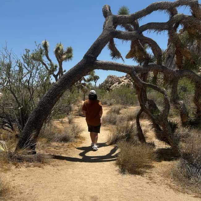 Joshua Tree National Park Tours | Private Tour (Max 10) - FAQs
