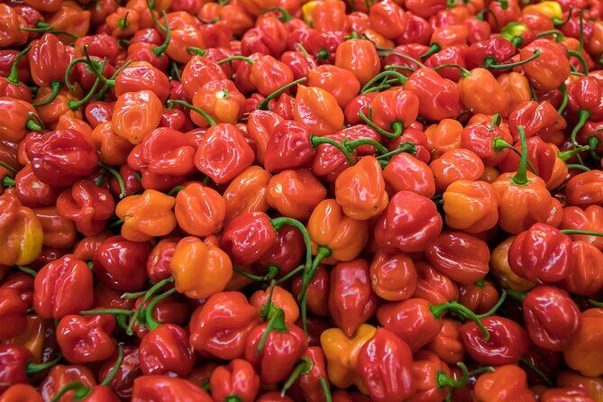 Journey Through La Merced - Final Thoughts