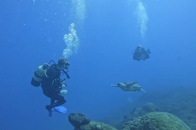 Jubilee Shoals guided boat dives - The Itinerary and What You Can Expect