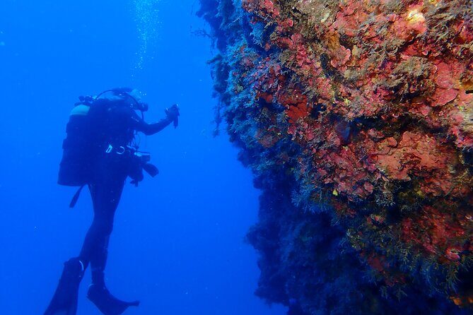 Jubilee Shoals guided boat dives - Final Thoughts
