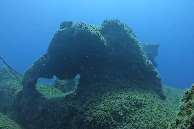 Jubilee Shoals guided boat dives - FAQ