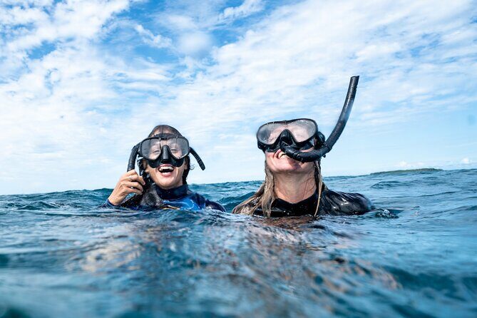 Julian Rocks: Premier Snorkeling Tour Byron Bay - Practical Details: What You Need to Know