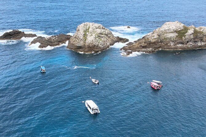 Julian Rocks: Premier Snorkeling Tour Byron Bay - FAQs