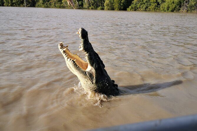 Jumping Croc Cruise, Berry Springs, Fogg Dam & Humpty Doo Pub - Who Would Enjoy This Experience?
