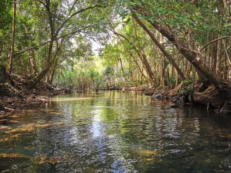 Jumping Croc Cruise, Berry Springs,Fogg Dam & Humpty Doo Pub - Key Points