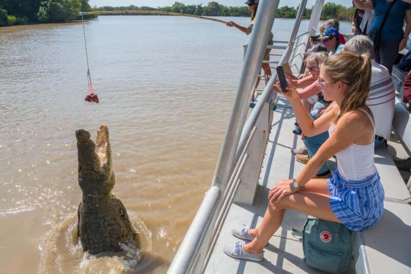 Jumping Crocodile Cruise from Darwin Half-Day Scenic Trip - What Sets This Tour Apart