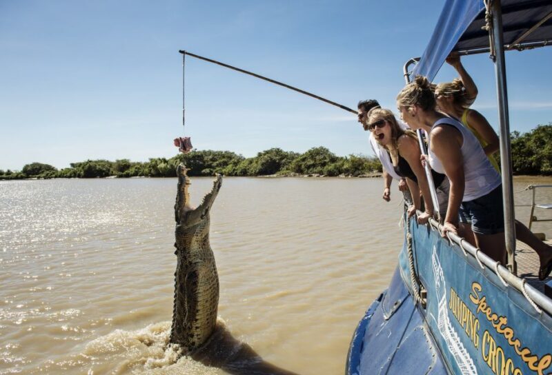 Jumping Crocodile Cruise from Darwin Half-Day Scenic Trip - Authentic Feedback and What Travelers Love
