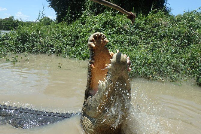 Jumping Crocodile Cruise with lunch - Authentic Experiences from Reviewers