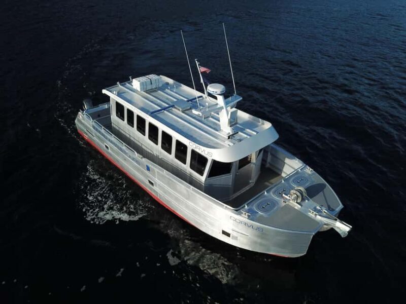 Juneau: 3.5-Hour Small Group Whale Watching Tour - Key Points