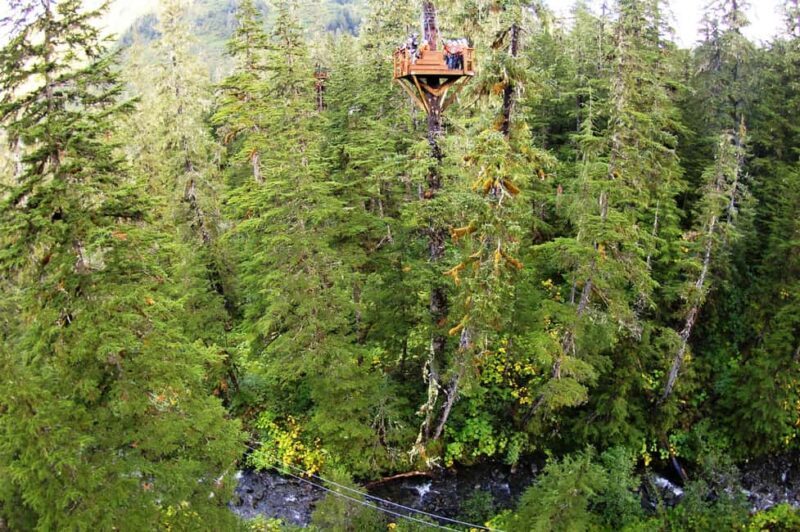 Juneau: Alpine Zipline Adventure - The Itinerary: Step-by-Step Breakdown