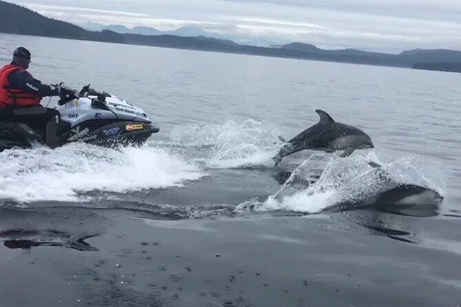 Juneau Jetski & Whale Adventure - The Sum Up