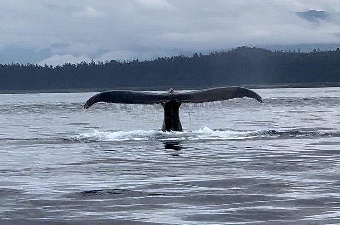 Juneau Jetski & Whale Adventure - FAQ