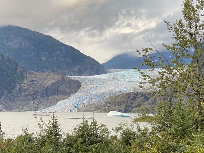 Juneau: Mendenhall Glacier and Whale Watching Tour - An In-Depth Look at the Tour Experience