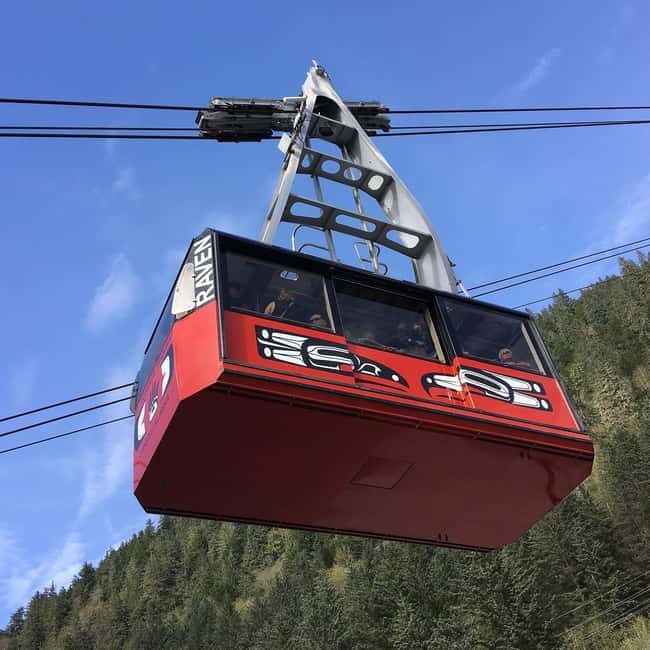 Juneau: Mount Roberts Tram Ride with App and Map - Interactive App: Learning on Your Terms