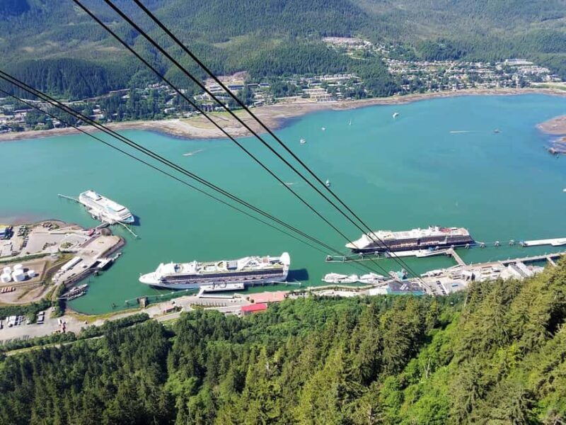 Juneau: Mount Roberts Tram Ride with App and Map - Who Will Love This Tour?
