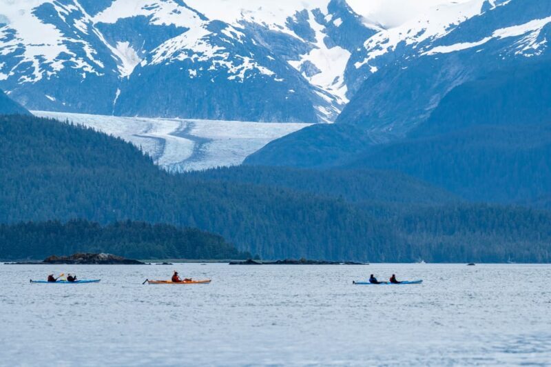 Juneau: Paddle with Whales Kayak Adventure - Who Should Consider This Tour?