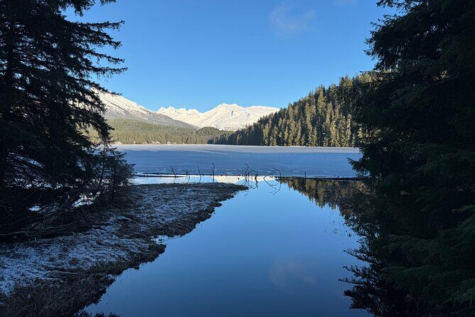 Juneau Private 3 Hour Sightseeing Tour with a Local - Who Would Love This Tour?