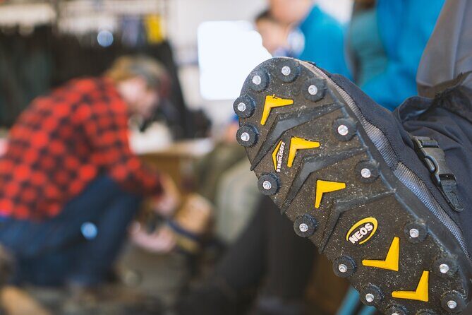 Juneau Shore Excursion: Helicopter Tour and Guided Icefield Walk - Who Will Love This Tour?