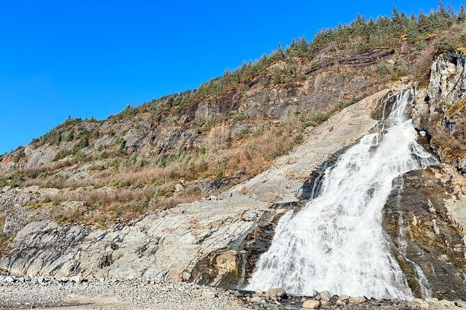 Juneau Top Sight Seeing Private Tour - FAQ