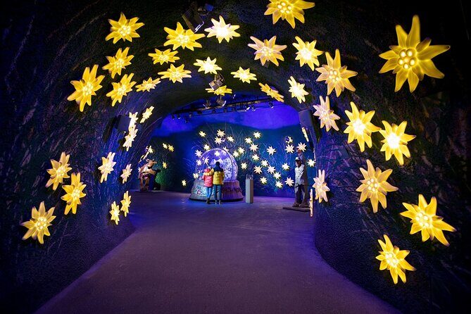 Jungfraujoch Top of Europe Day Trip from Interlaken - Weather and Visibility