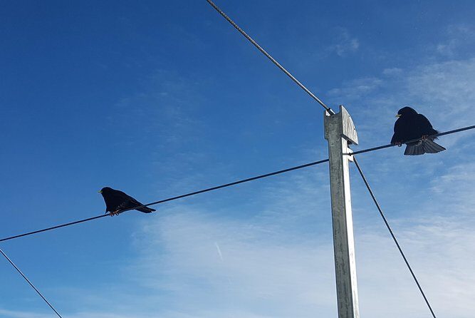 Jungfraujoch Top of Europe Private Day Trip from Interlaken - Authentic Experiences from Reviewers